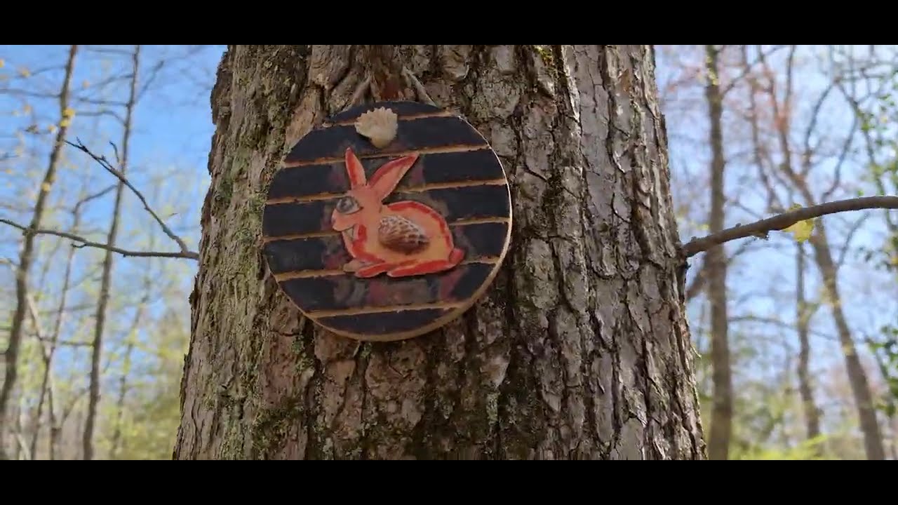 Quest for the Vine Tree in the Land of the Cyclops Rabbit - Pablo ...