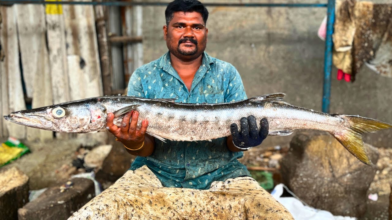 SHEELA BARRACUDA FISH CUTTING BY FAST SELVAM | HD VIDEO | IN KASIMEDU ...