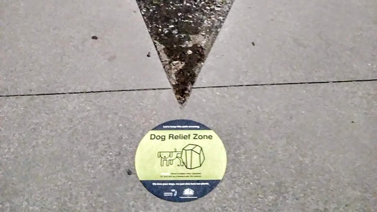 "Dog Relief Zone." - YouTube