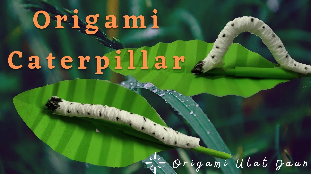 How to make origami Caterpillar | DIY Paper Caterpillar | Origami ...