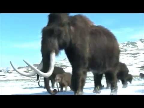 Return of the Beasts - a tribute to Cenozoic wildlife