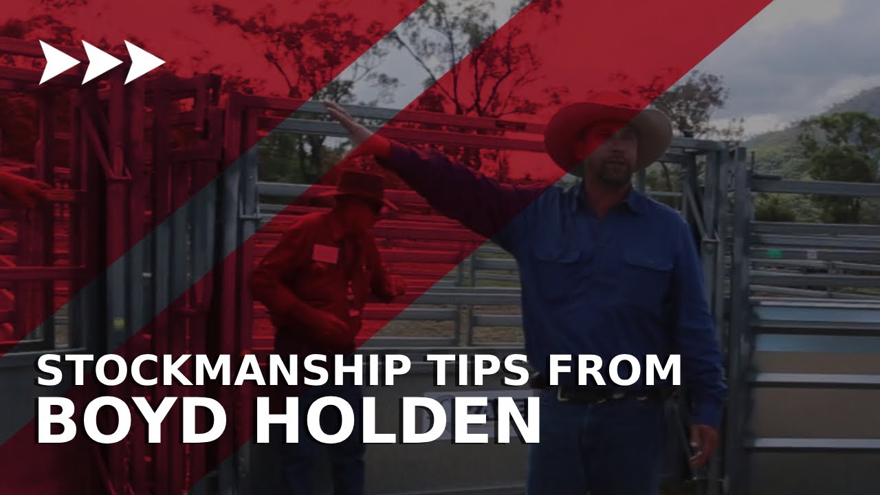 Stockmanship Tips from Boyd Holden - YouTube