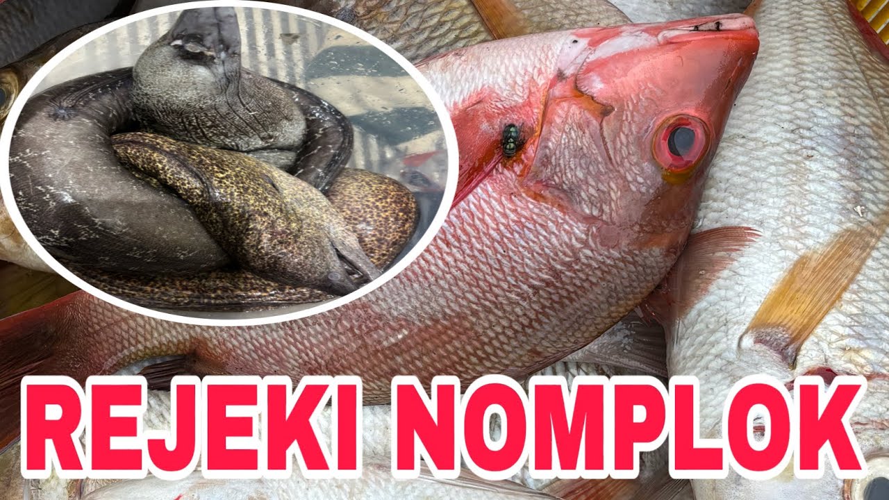 DAPAT REJEKI NOMPLOK - YouTube