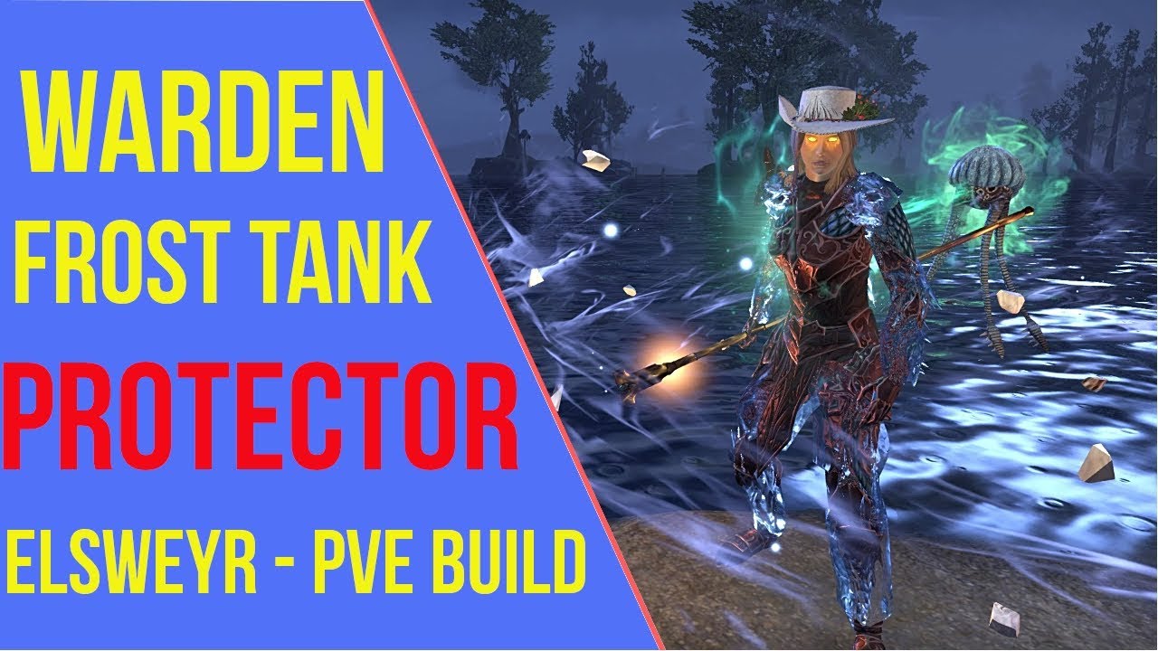 ESO - Warden Tank PVE Build "Protector" | Elsweyr - YouTube