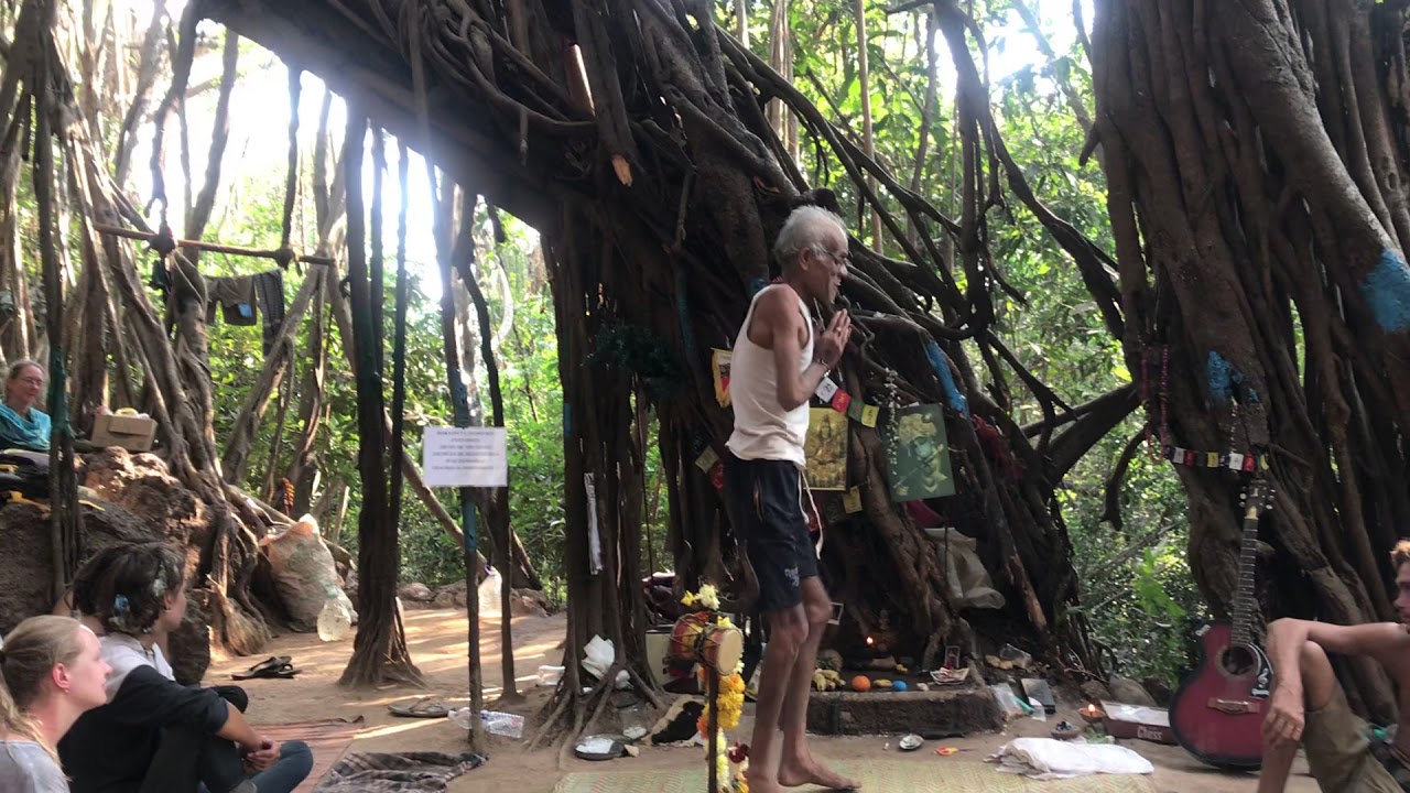 The Banyan Tree, Goa, India 🇮🇳 - YouTube