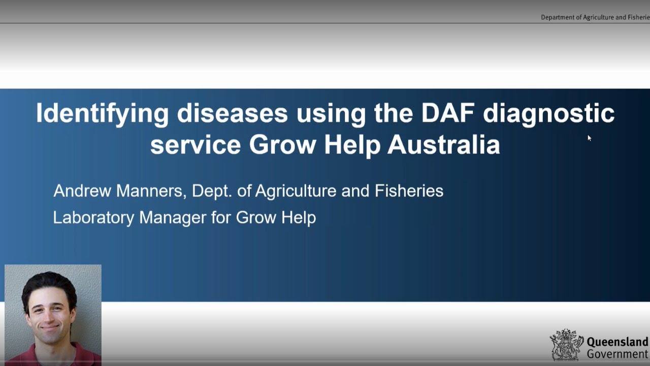 Identifying diseases using the DAF diagnostic service Grow Help ...