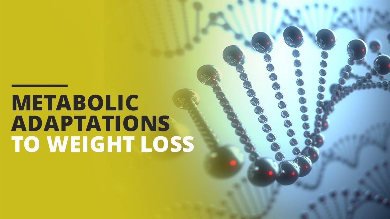 Metabolic Adaptations to Weight Loss - YouTube