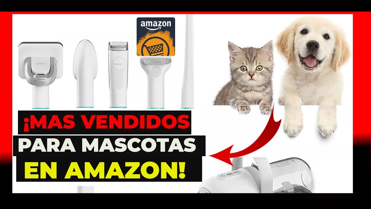 🚀 TOP 5 productos MÁS VENDIDOS para MASCOTAS en AMAZON - YouTube