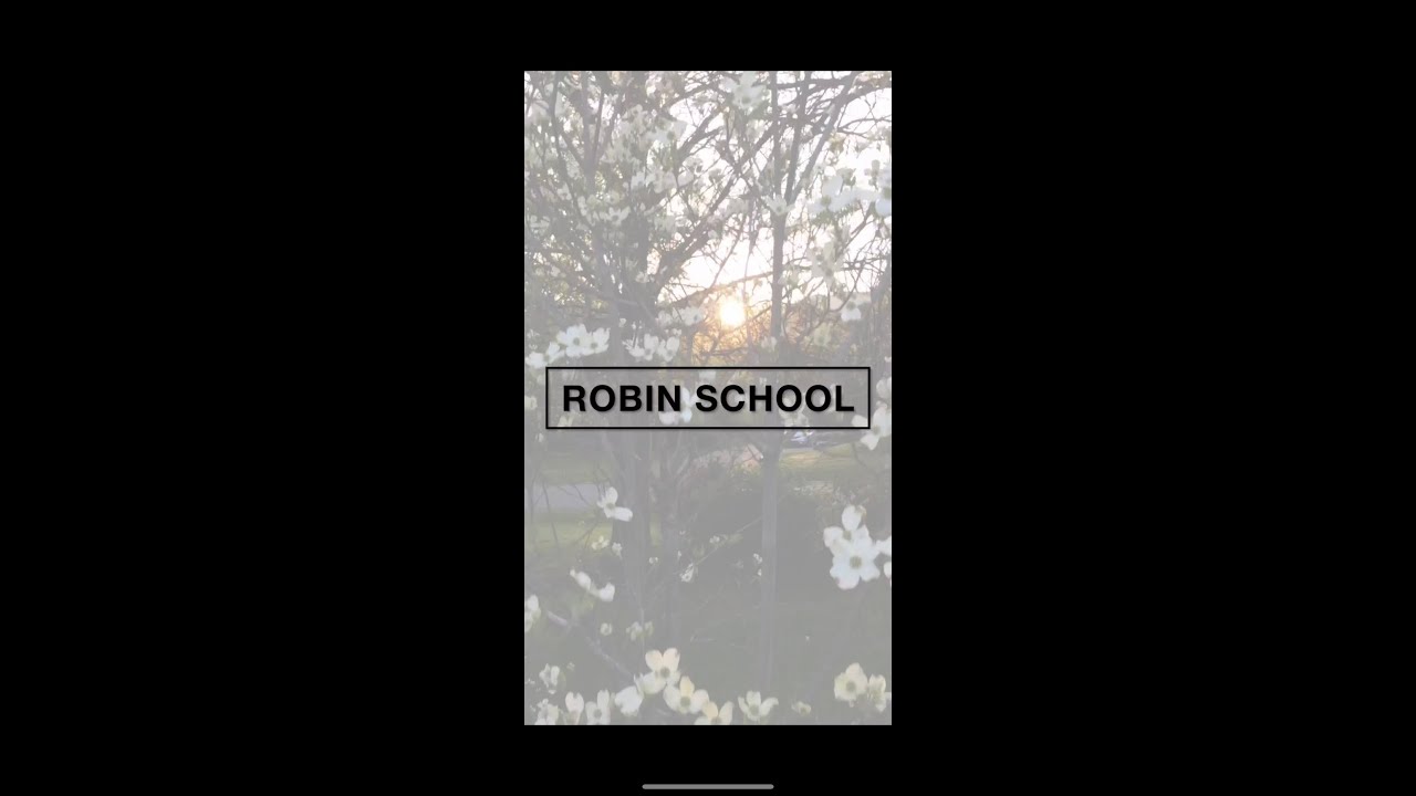 Robin School - Learn All About The Robins In Your Backyard! - YouTube