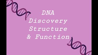 What is DNA: Discovery, Structure and Function