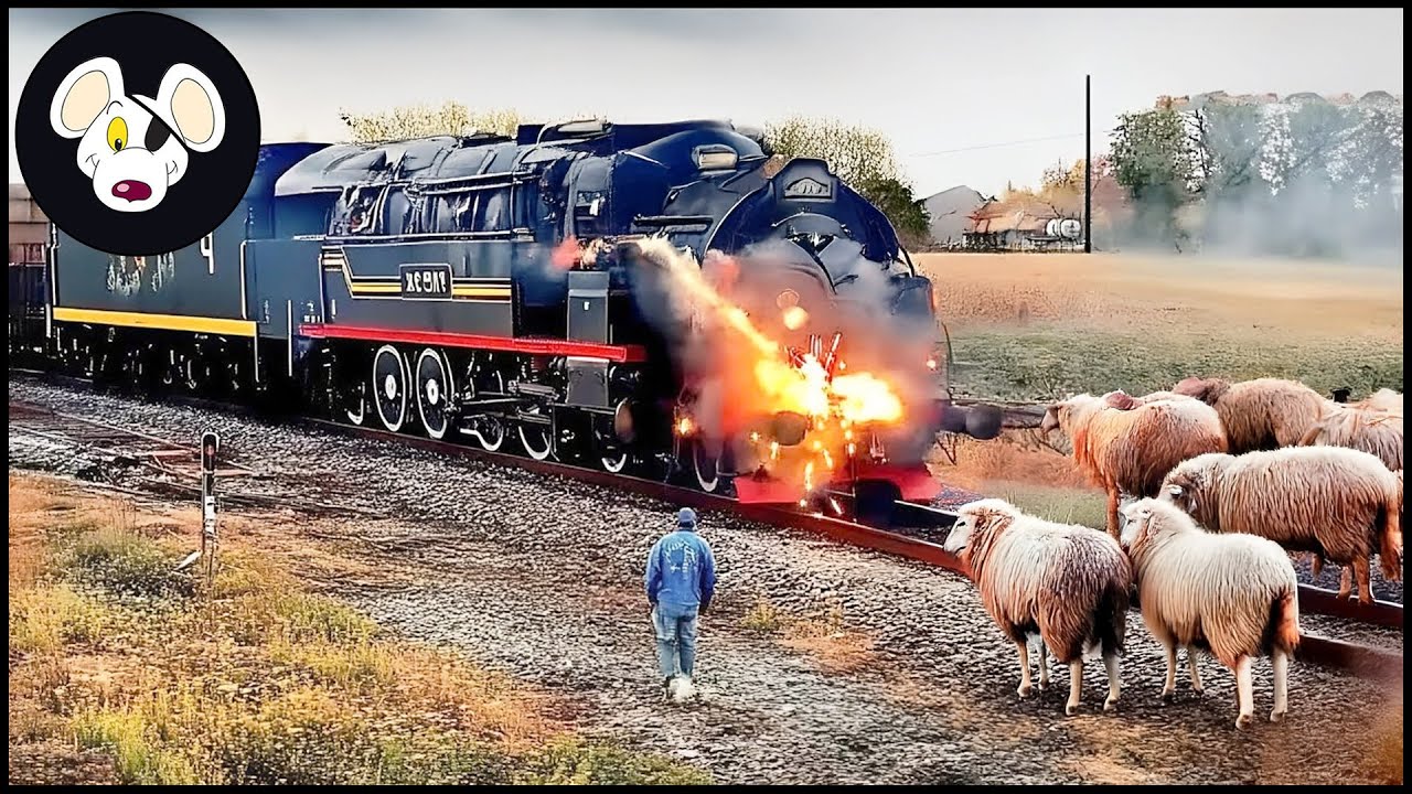 Shocking ! 30 Terrifying Moments When Animals Collide With Trains ...