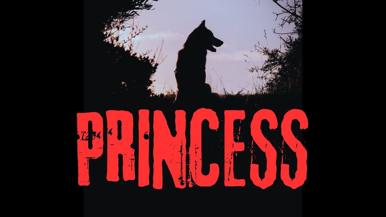 Princess | Creepypasta - YouTube