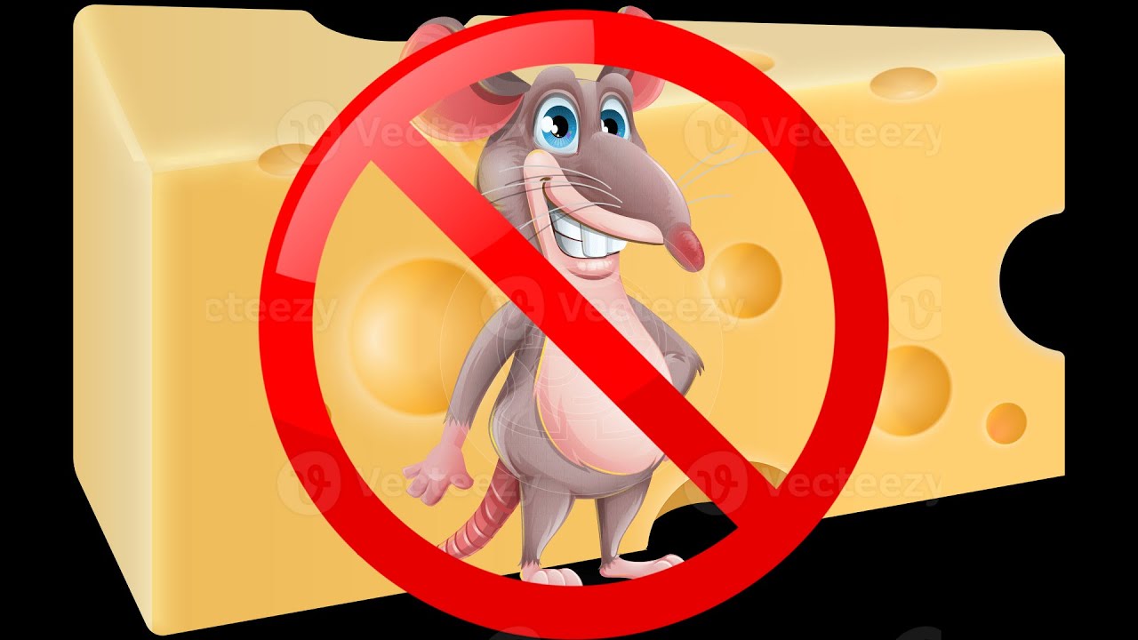 DYI Mouse Trap with One-Way Door - YouTube