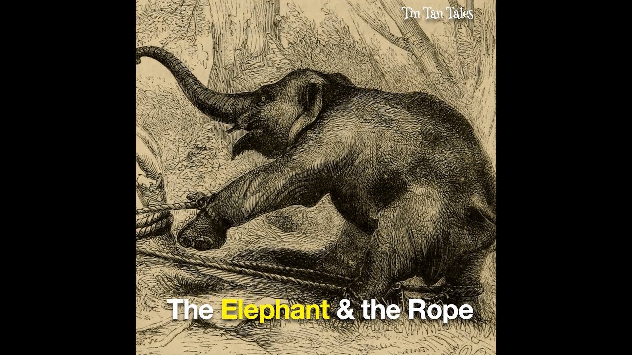 The Elephant & the rope - a motivational story - YouTube