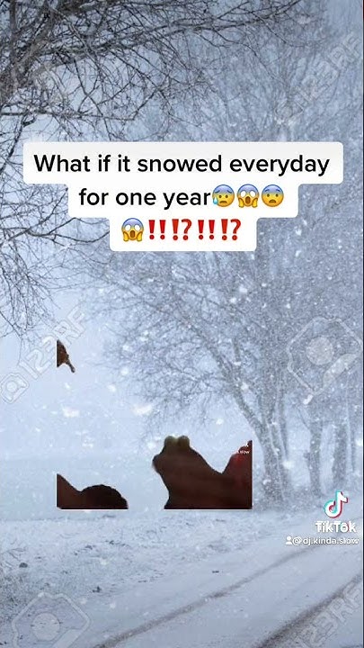 What would happen if it snowed everyday for one year?! - YouTube