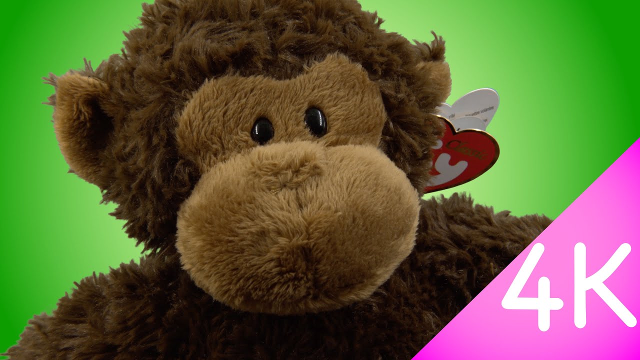 Ty Classic - Bungle 4k - YouTube