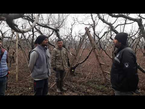 Çavuşumuzun anasıymış