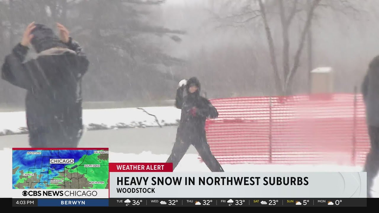 Snow day was a fun day for suburban Chicago kids - YouTube