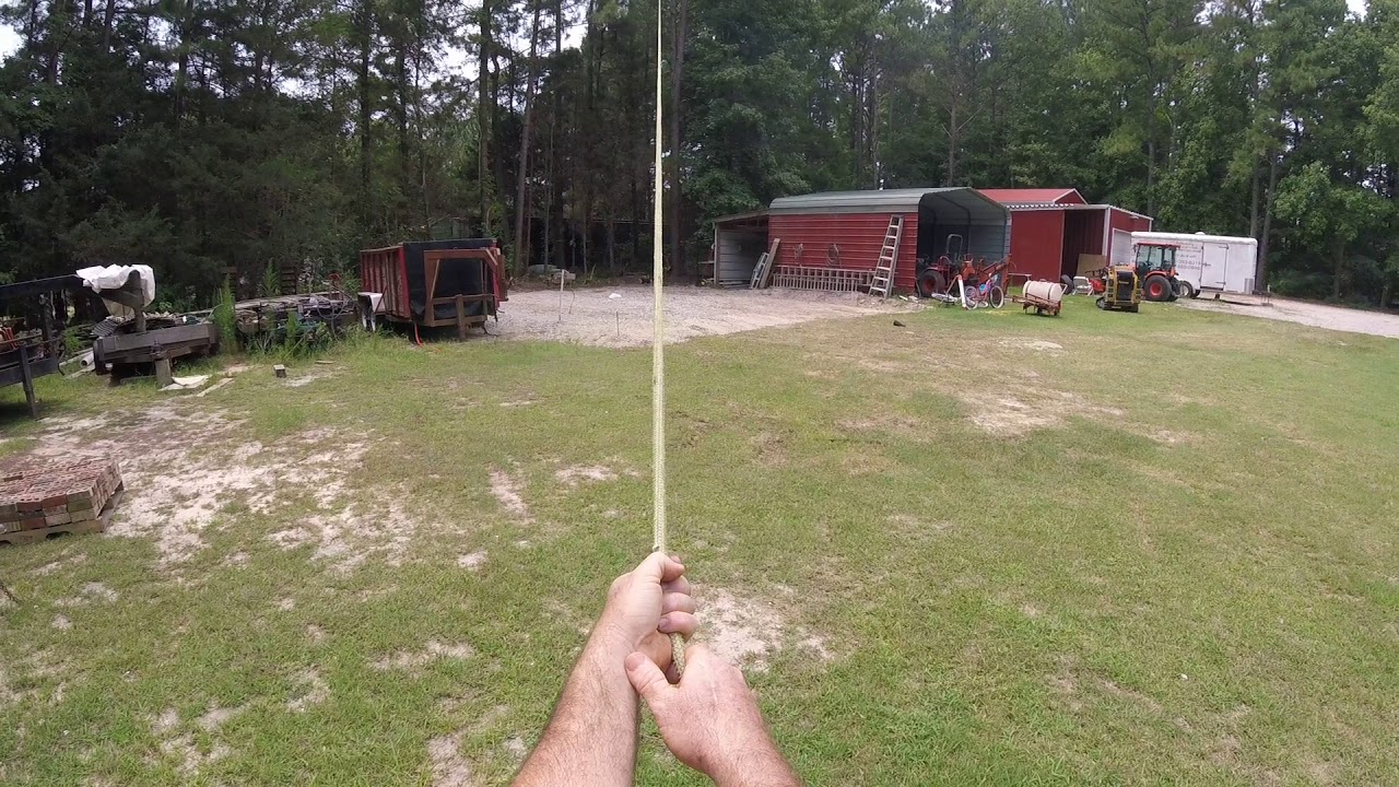 Felling a 50 foot Pine Tree. Clayton North Carolina. - YouTube
