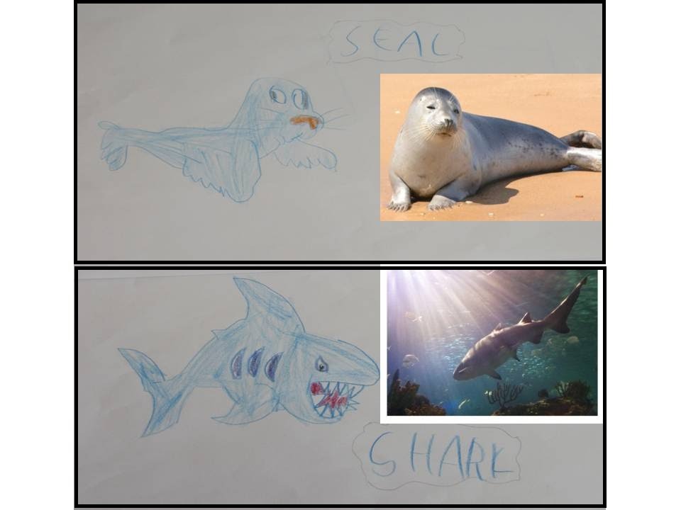 Learn sea / water animals with 5 y.o. kid free drawings - Preschool ...