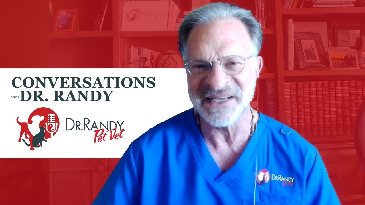 Don't Give Up on Your Dreams! Dr. Randy's Veterinary Journey and ...