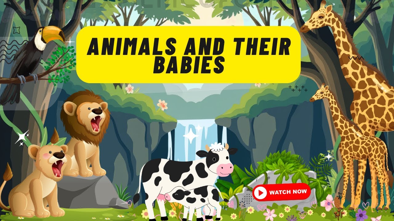 Animals and their Babies@Kidslearnpark - YouTube