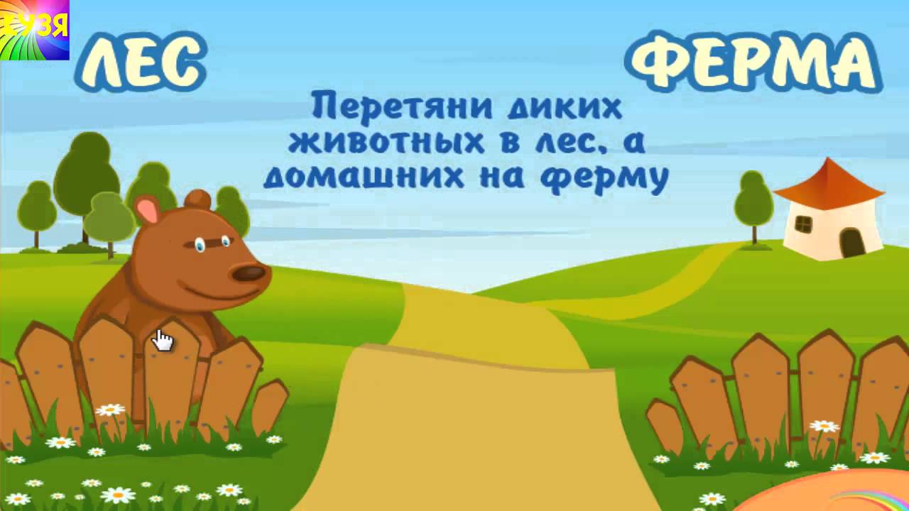 Развивающий мультик для детей Дикие и домашние животные Youtube