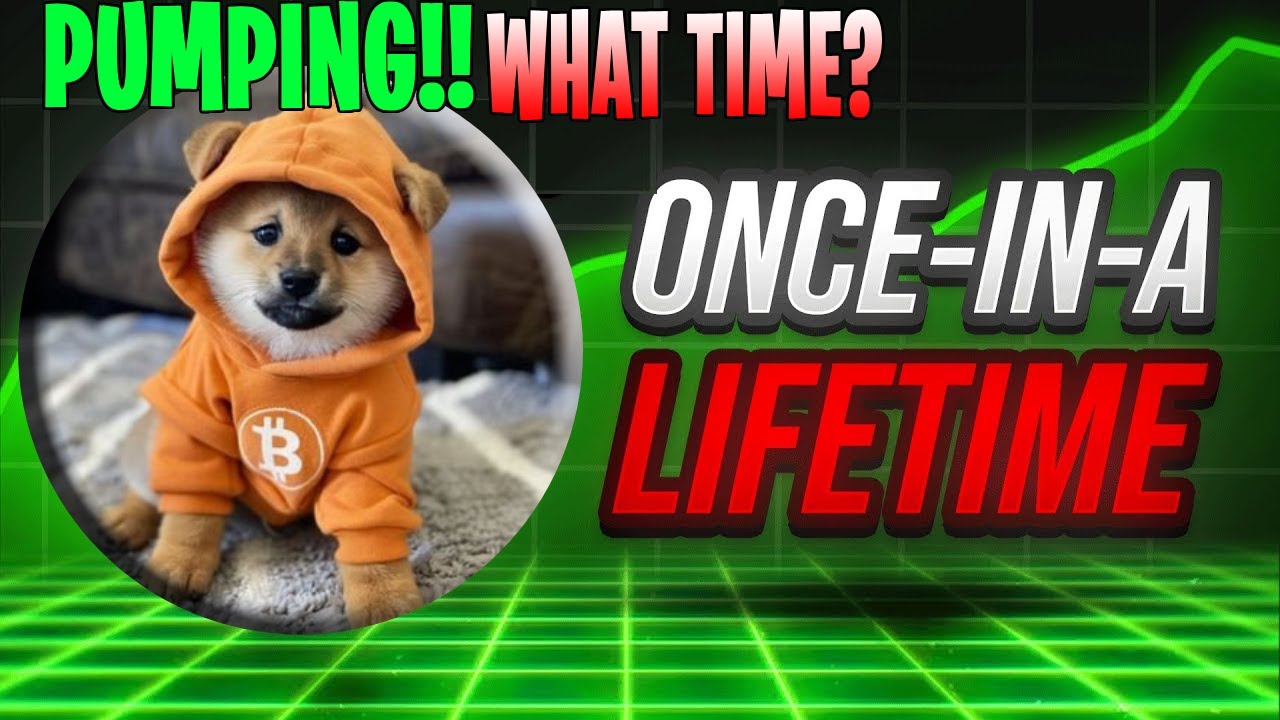 DOG (RUNES) IS PUMPING || SEE THIS BEFORE YOU BUY - DOG PRICE ...