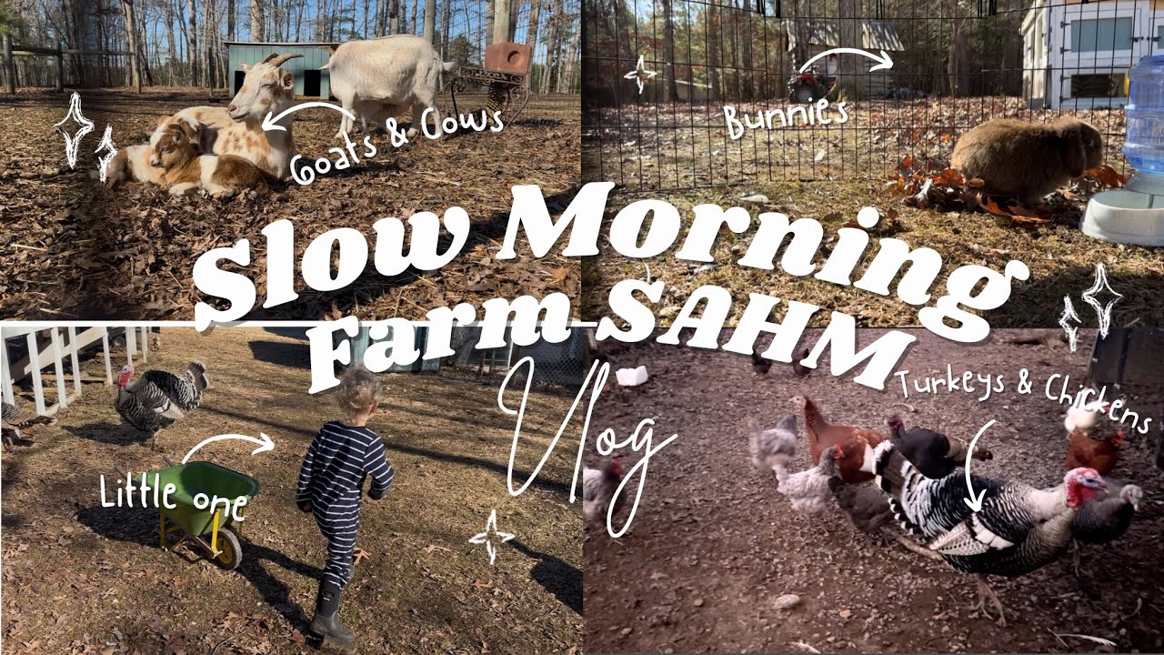 A Realistic Morning on Our Farm | SAHM Morning Routine + Animals - YouTube