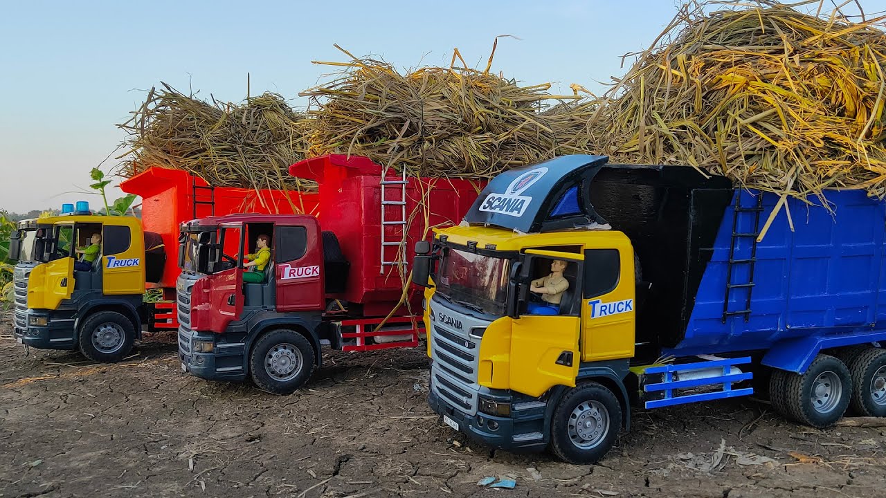 MOBIL TRUK TRONTON MUAT JERAMI PAKAN TERNAK - SIMULASI MOBIL SAPI - YouTube