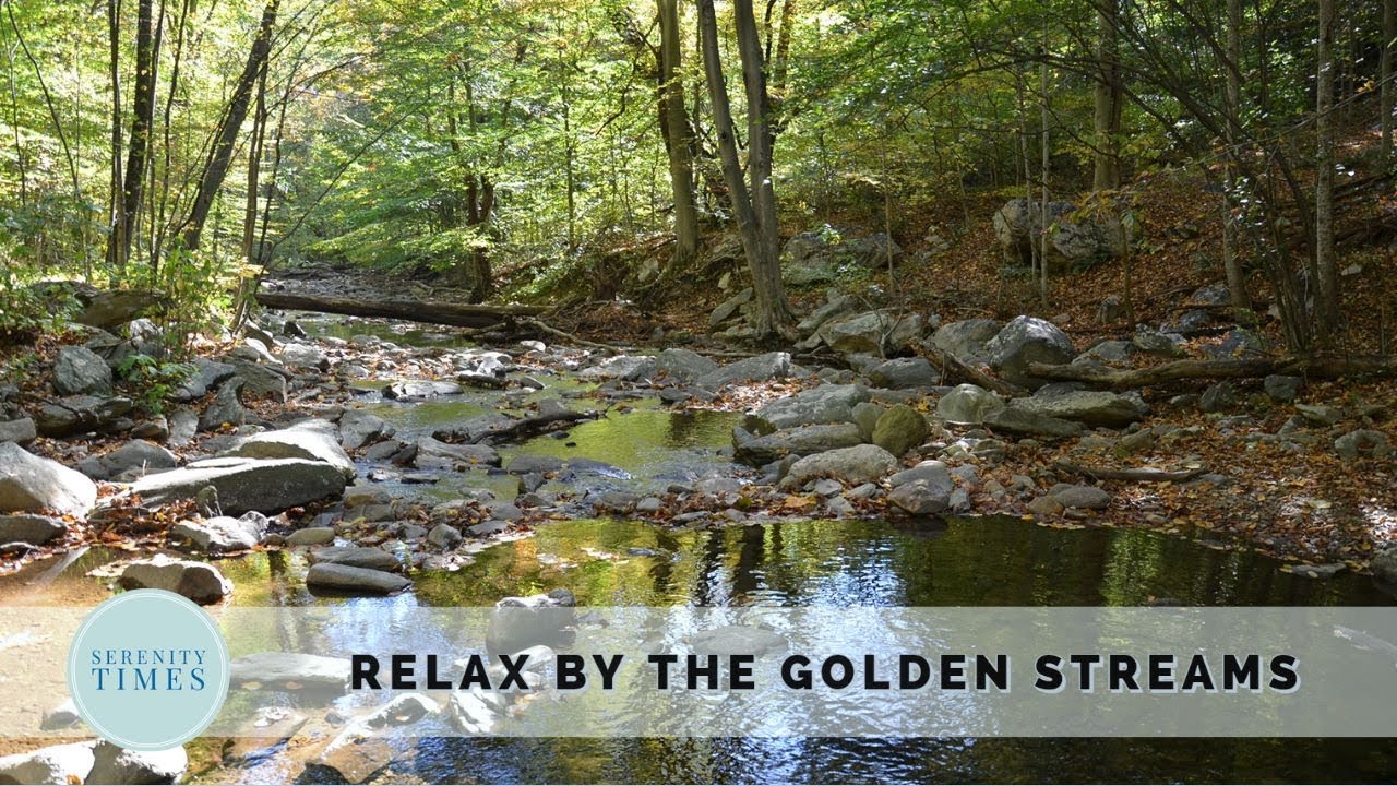 Relax by The Golden Stream | Nature | Water Stream - YouTube