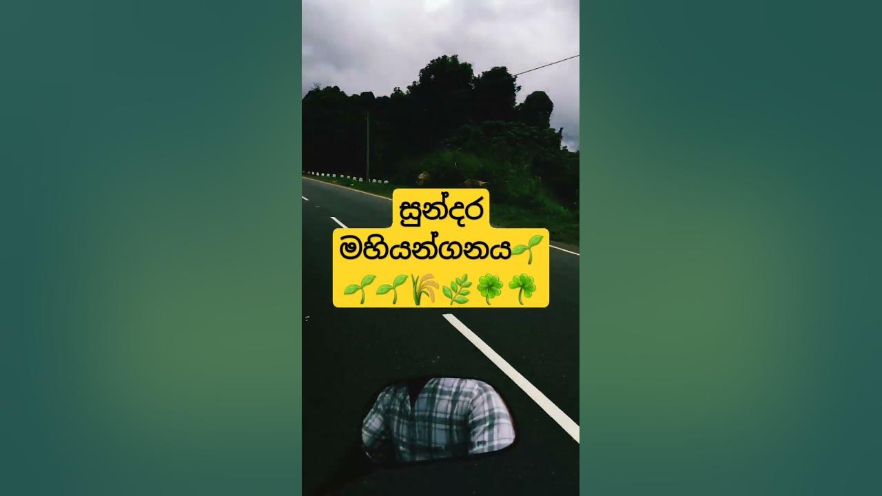 සුන්දර මහියන්ගනය Visit Sri Lankashorts Youtube