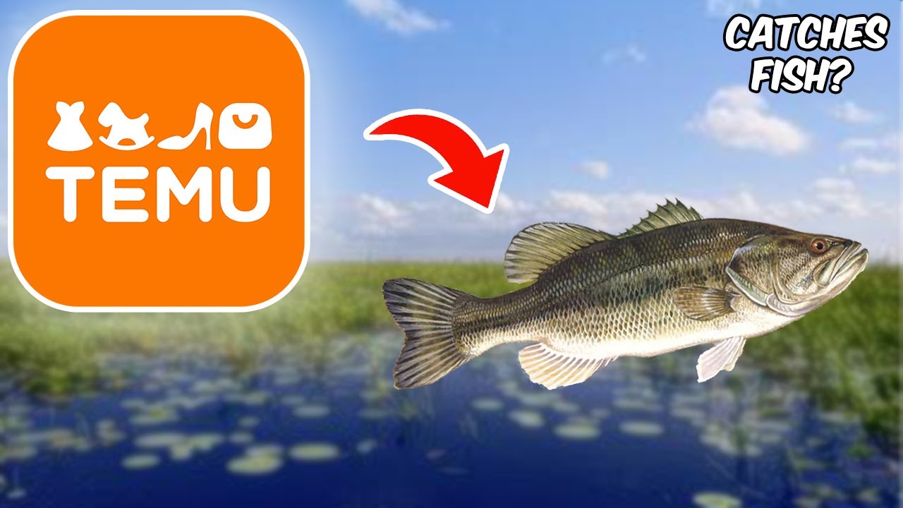 Bass Fishing With TEMU HOOKS! (Are They Good?) - YouTube