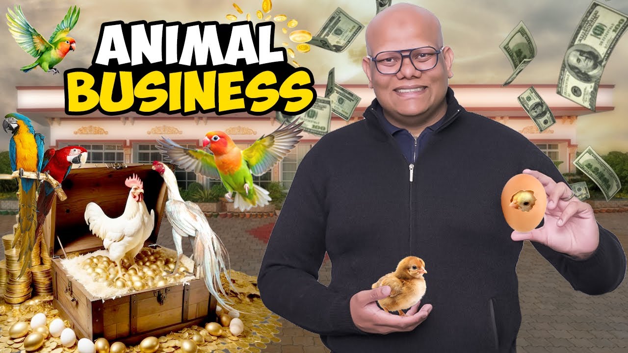 How to Start Animal Business with Pocket Money? 💰 | BT Farm Stories ...