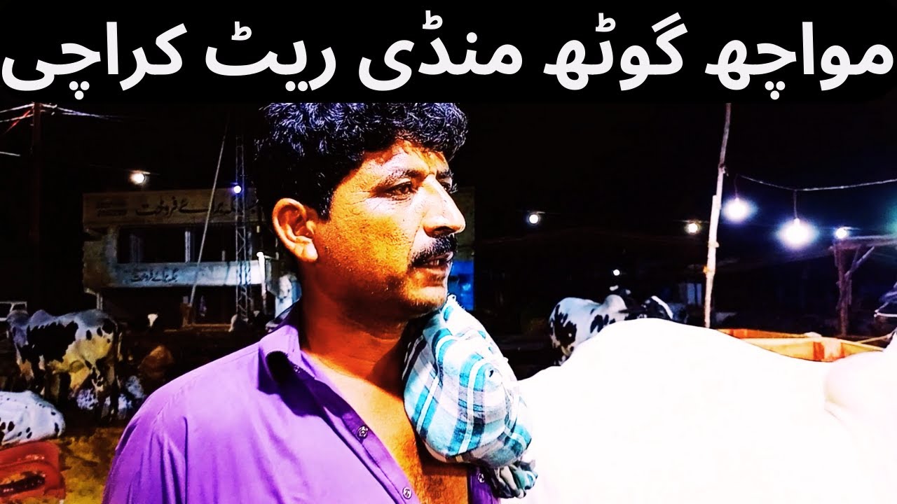 Mawash Goth Mandi Rates | Naval Mandi | Karachi Cattles Market 2023 Cow ...
