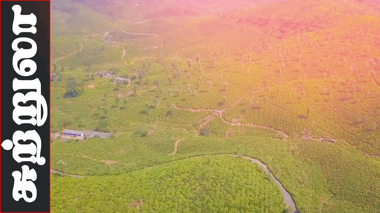 வால்பாறை I Valparai I Drone View I Tea Estate - YouTube