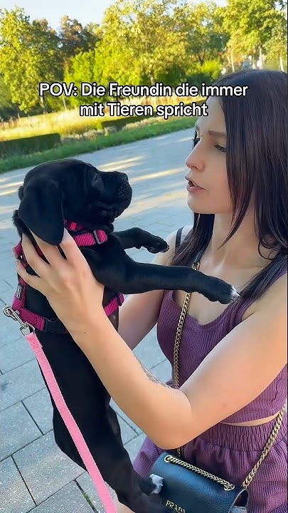 #pov : Die Freundin die immer mit Tieren spricht! Wer kennt’s? 🥹 ️ #shorts #acting #funny - YouTube