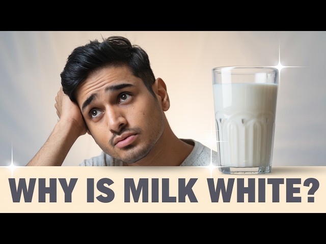 What Makes Milk White