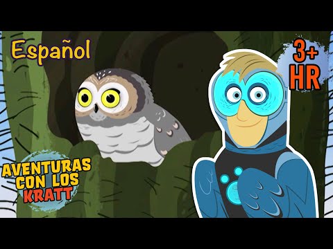 Un pequeño búho en el desierto [episodios completos] Aventuras con los Kratt