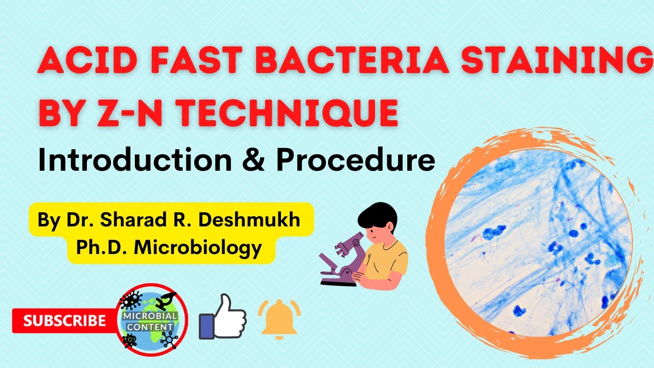 ACID FAST STAINING | Z-N STAINING | INTRODUCTION, PROCEDURE & AFB ...