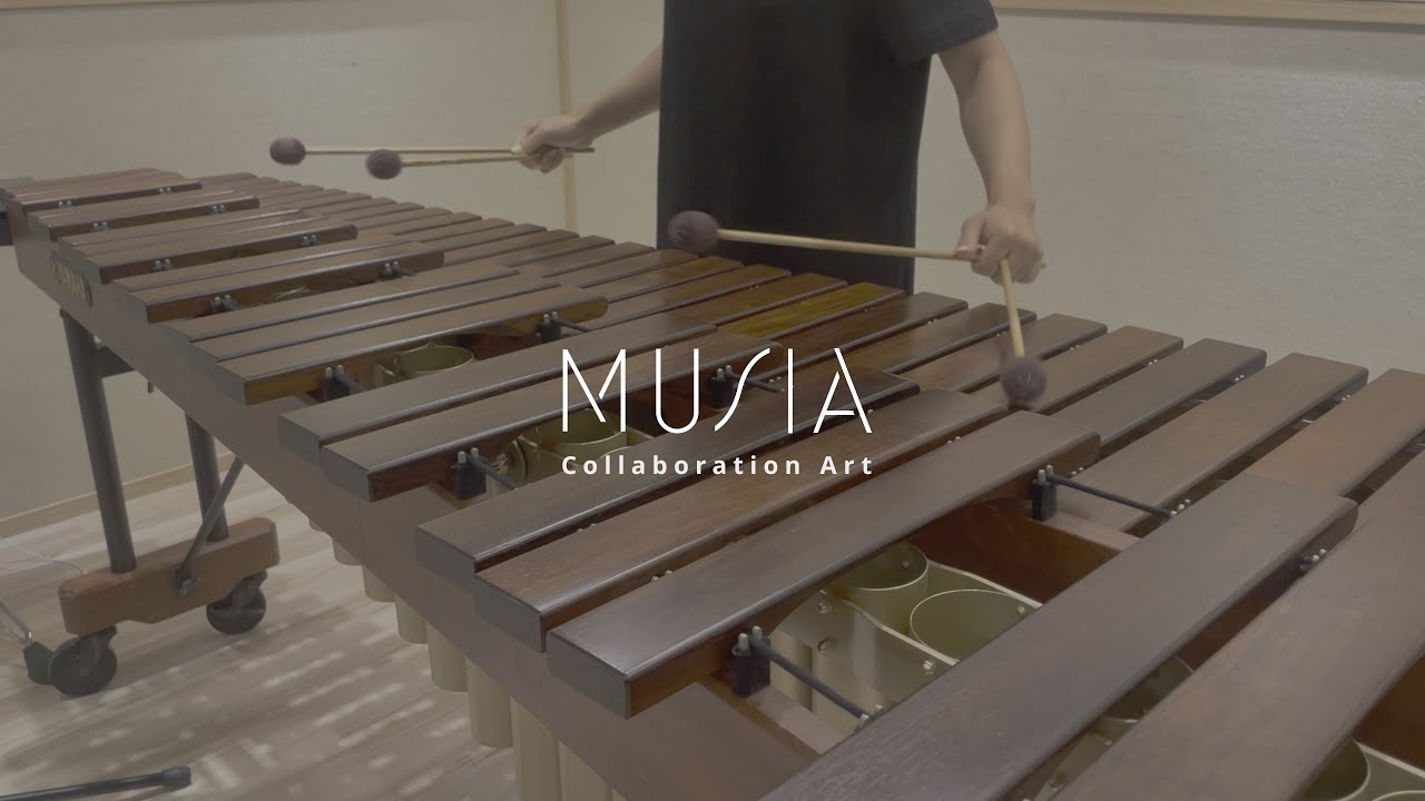Rain Cats and Dogs (Perform. by Marimba Film) | 🎹 Marimba w/ beat ...