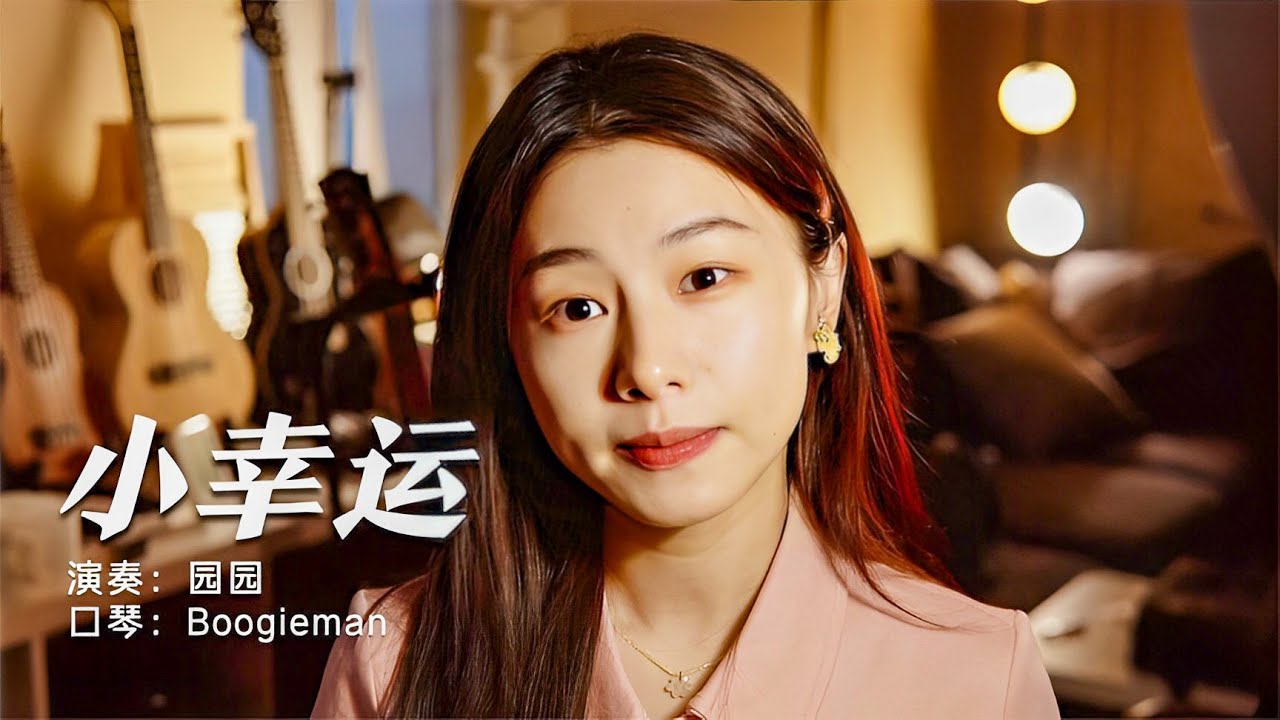 青春中有一段美好的回忆,便是我的《小幸运》|园园十孔口琴演奏【吹口琴的小园园】 Youtube