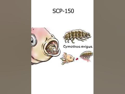 SCP-150 !! l แมลงปรสิต !! l เรื่องสยองขวัญ !! l Horror Story !! l # ...