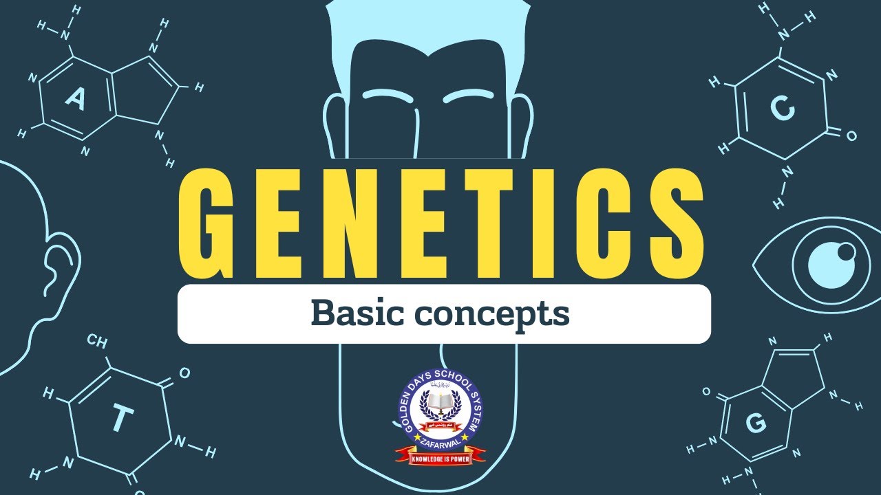 Genetics: Basic Concepts Explained - YouTube