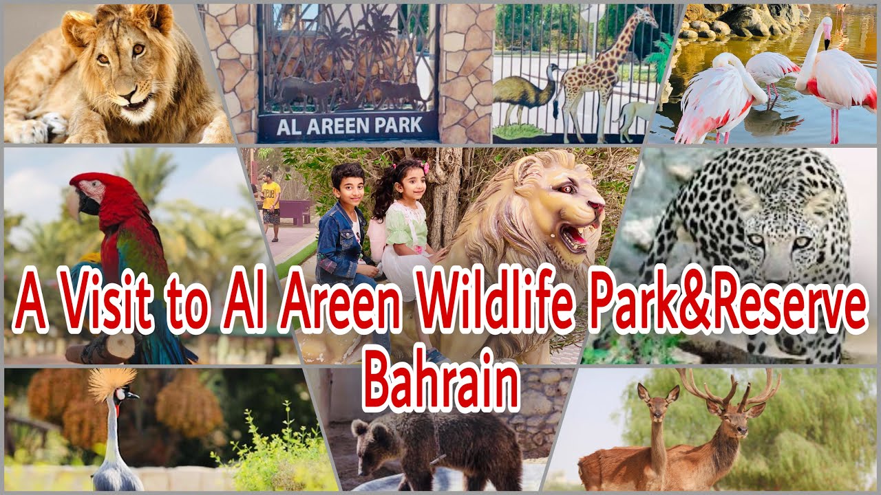 Al Areen Wildlife Park and Reserve Zoo-BAHRAIN #alareenwildlife #park # ...