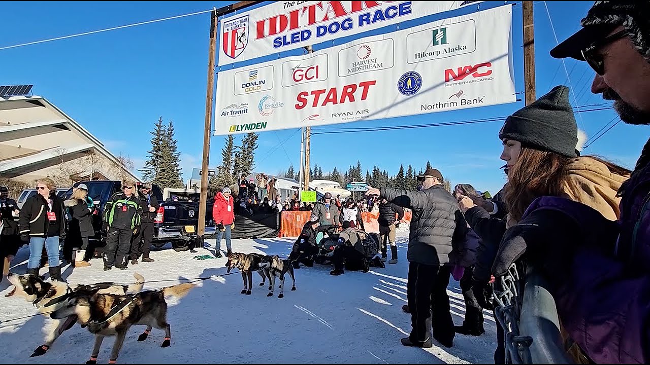 Jessie Holmes leads as Iditarod field narrows, dog dies - YouTube