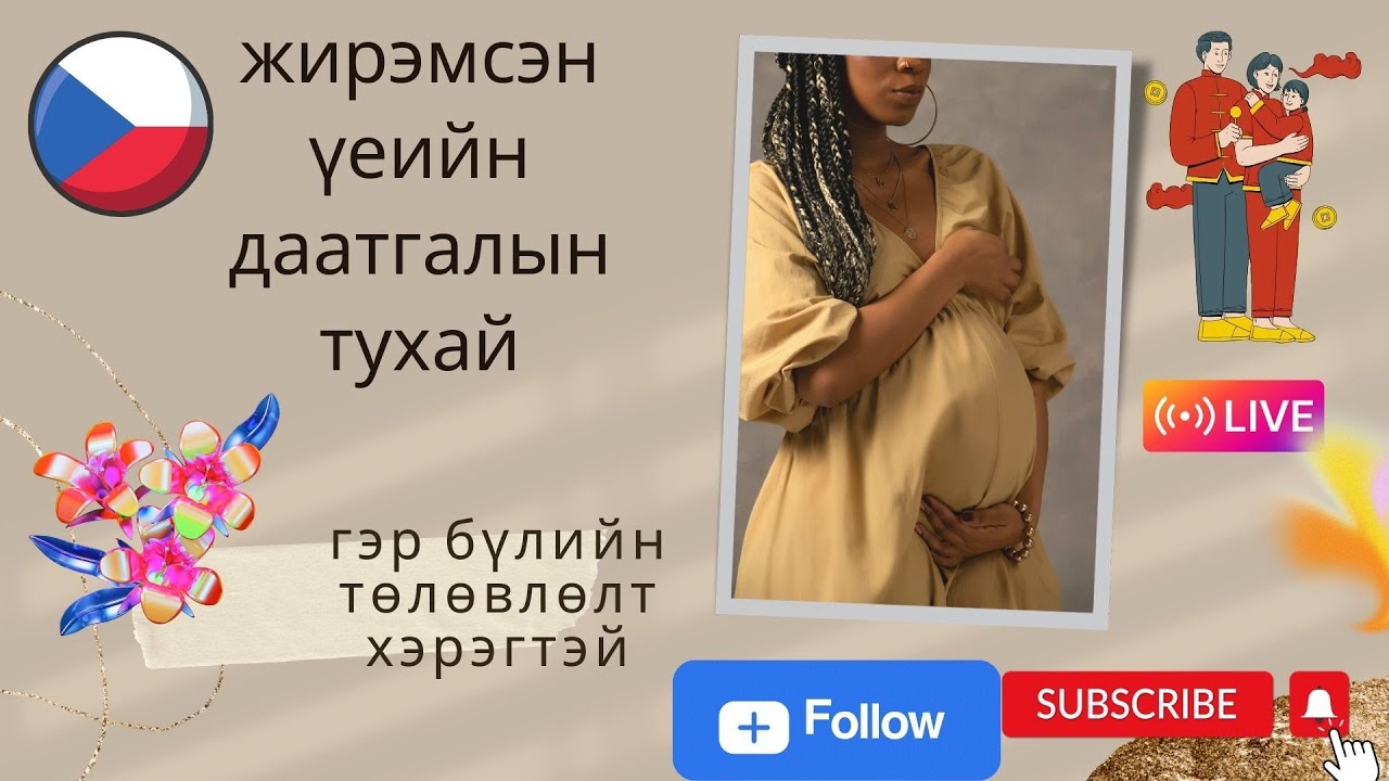 чехд юу анхаарах уу 269 жирэмсэн үеийн даатгал Youtube