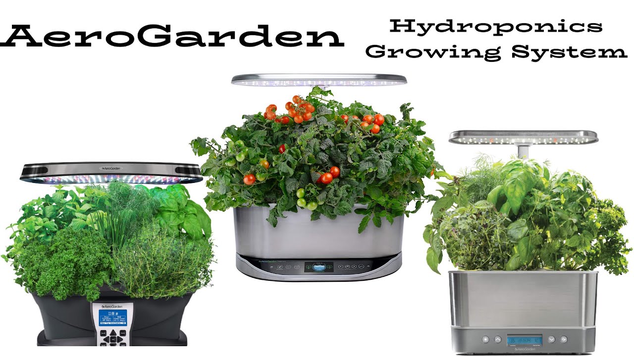Indoor Hydroponic Garden , Herb AeroGarden , Indoor Gardening - YouTube