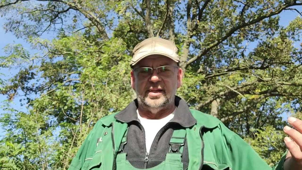 Alle sind unzufrieden, keiner traut den gewählten etwas zu.. - Der ...