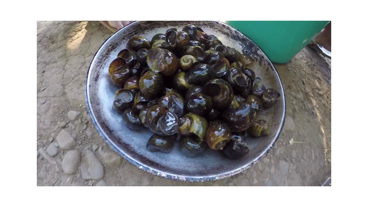 How to cook kuhol - YouTube